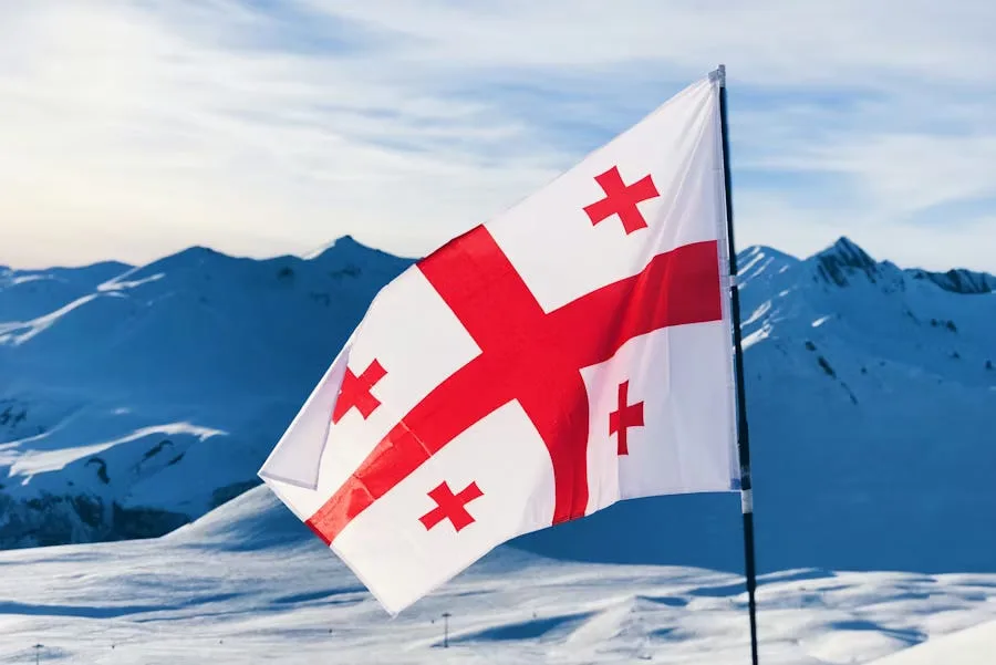 Georgia: Reassessing the Rose Revolution Legacy
